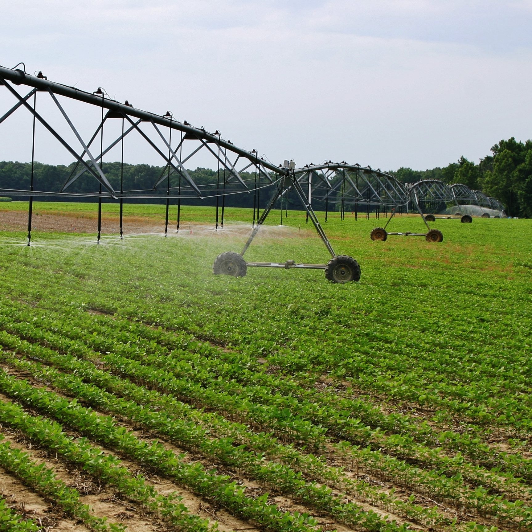 AgResearch Strategic Action Plan | UT AgResearch