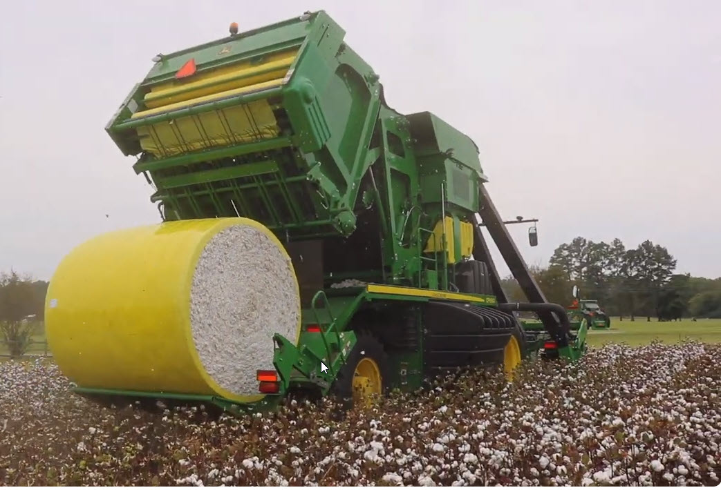 UT AgResearch | UT AgResearch