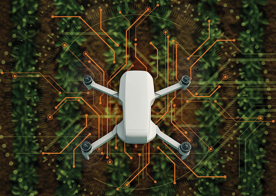 Farming for the Future | UT AgResearch